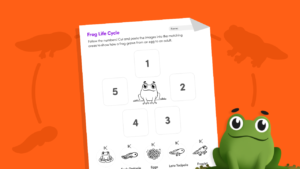 Frog Life Cycle Worksheet | Picture Sequence Printable for Kids